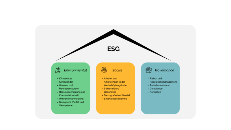 ESG-Kriterien: Vorgaben und Bedeutung für Unternehmen